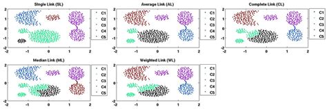 results of different hierarchical clustering technique on aggregation