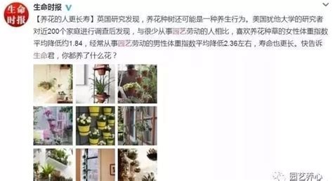 园艺疗法 “乐花者寿”，不过要养这几种花
