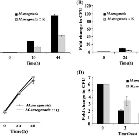 Growth Of M Smegmatis M Smegmatis G And M Smegmatis K In Download Scientific Diagram