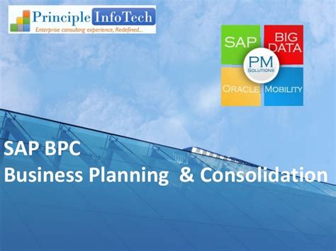 Sap Bpc Sap Business Planning And Consolidation Bpc Services