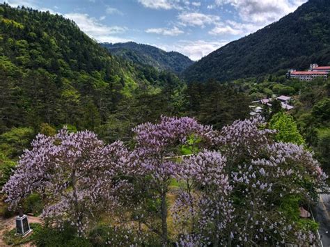 Heping Images Free Download On Freepik