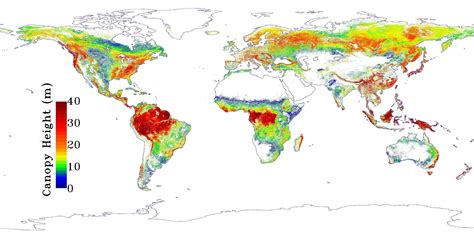 Tree Height Maps Vivid Maps
