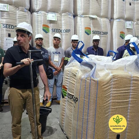 🌱 O Cotilédone Do Grego Kotyledon Academia Da Semente Facebook