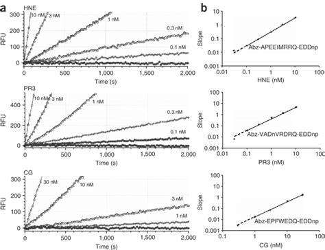 Optimization Of Fret Substrate Detection By Increasing Nsp