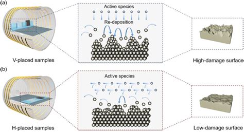 Schematic Diagrams Of The Activation Process On Wafer Surface Based On