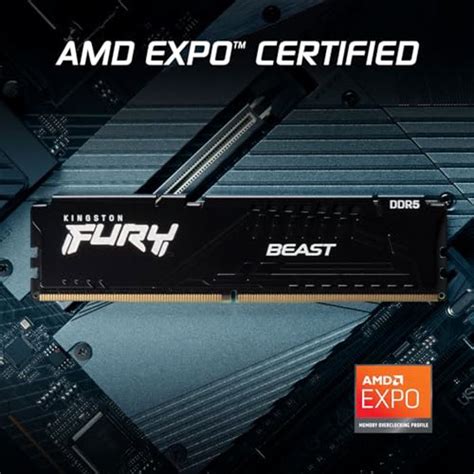 Kingston Fury Beast 32gb 2x16gb Ddr5 6000 Amd Expo Vs Fury Renegade