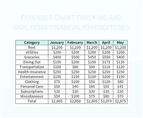 Expenses Chart Tracking And Analyzing Financial Expenditures Excel