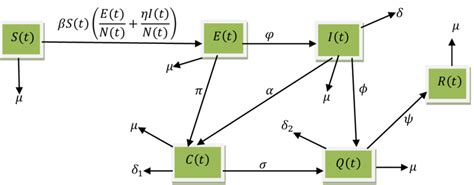 Schematic Diagram Of The Model Download Scientific Diagram