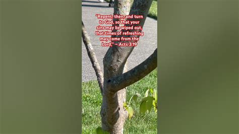 Repent Then And Turn To God So That Your Sins May Be Wiped Out