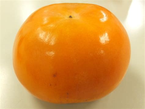 Persimmon Fuyu Diospyros Kaki Fuyu Flower Database