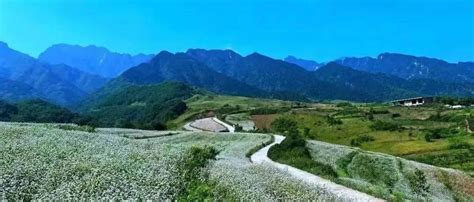 蓝田美丽乡村行 视频打卡乡村振兴示范村青坪村、宋寨村、翟家村、峪口村建设