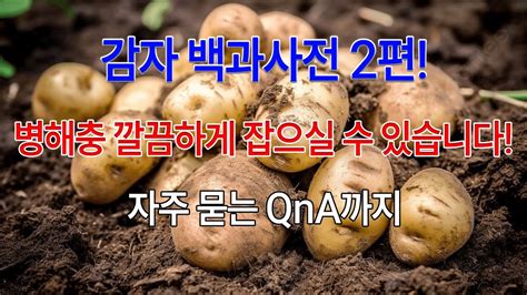 감자 병해충 2탄 Bbt 피프티 꽃게아미노 인 친환경 질소 Npk 인 그린팩 농마트 인산가리 칼륨 가리