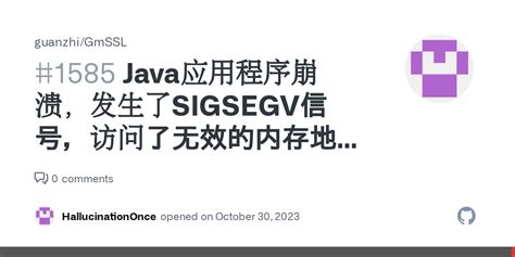 Java Sigsegv Issue Guanzhi Gmssl Github