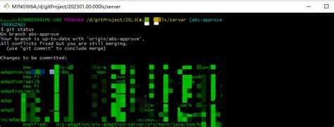 【问题处理】git合并解决冲突后，导致其他人代码遗失的排查 技术分享 云服务器