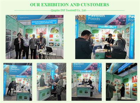 Iqf Frozen Kiwi Dice China Price Supplier 21food