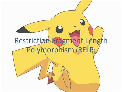 restriction fragment length polymorphism rflp ppt