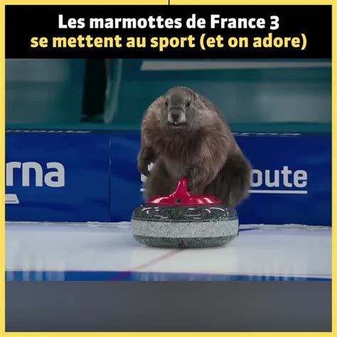 Muhammad Usman Yousaf On Linkedin Fitnessgoals Sportyvibes Furryfitness 25 Comments