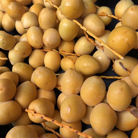 Natural Delight Medjool Dates Box Momobud
