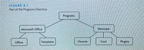 Solved For Each Of The Following Trees Answer These Chegg
