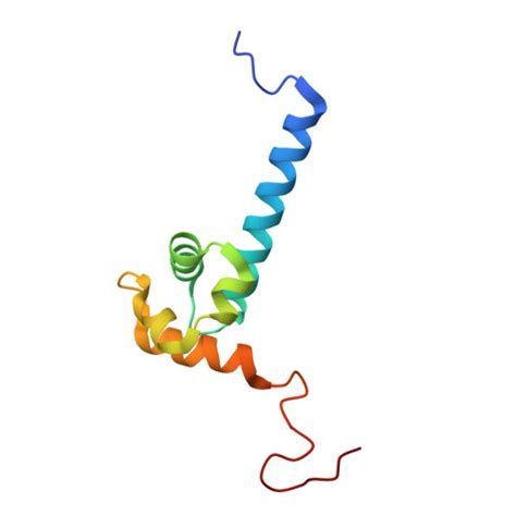 Rcsb Pdb 2mut Solution Structure Of The F231l Mutant Ercc1 Xpf