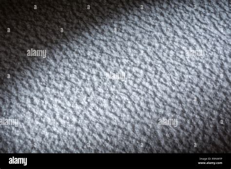 Rough Surface Of Polystyrene Ceiling Tiles Metaphor Rough Surface