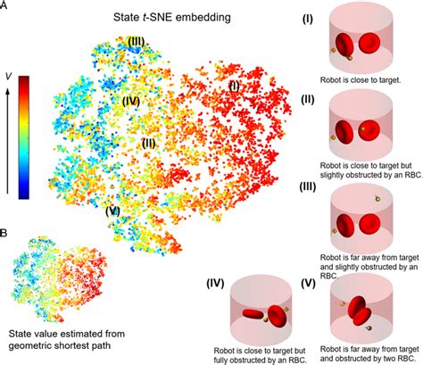 Analysis Of Learned Representations In Neural Networks A The 2d Download Scientific Diagram