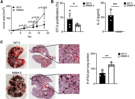 defective removal of invariant chain peptides from mhc class ii