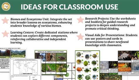 Deciduous Biome Animals