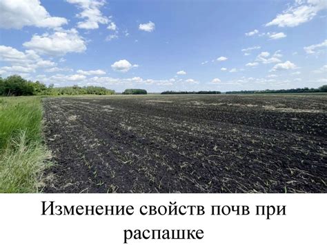 Почвенные ресурсы. Защита почвы. Причины разрушения почв - презентация ...