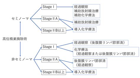精巣腫瘍 がんの治療方法 がん治療について 岩手医科大学附属病院 がんセンター