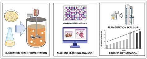Catalysts Special Issue Editorial Board Members Collection Series