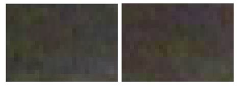 8 The Same Patch Of The Background From The Gait Laboratory Sequence