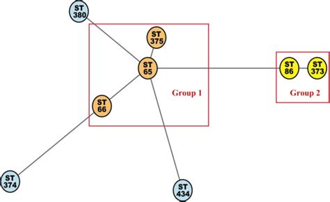 Minimum Spanning Tree Of 26 Isolates Of Kp Serotype K2 Strains
