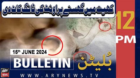 ARY News 12 PM News Bulletin 15th June 2024 Khait Me Ghusne Per Ont