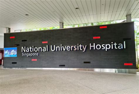 Car T Cell Therapy In Singapore Treatment Cost Hospitals And Doctors