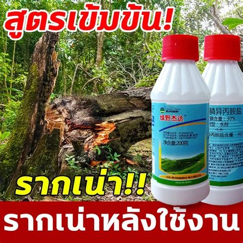 ⚡ 1หยดรากเน่ายาฆ่าตอต้นไม้ ยาฆ่าต้นไม้ใหญ่ ยาฆ่าต้นไม้ ยาฆ่าไม้ไผ่