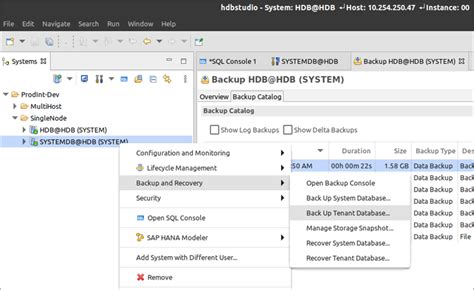 Managing Sap Hana Database Backups On Aws With Syntax Cxlink Backup Aws Partner Network Apn Blog