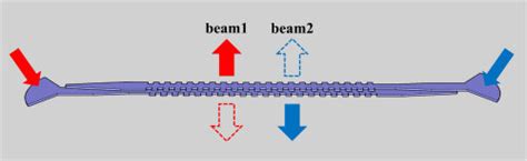 Antenna Directionality Test Schematic Download Scientific Diagram