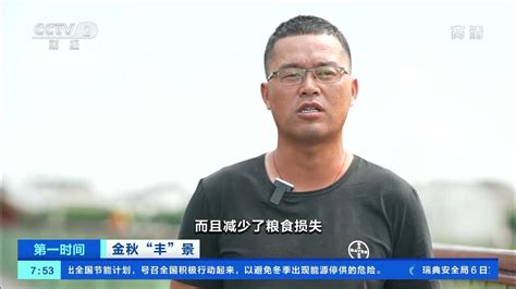 第一时间 金秋“丰”景 江苏宜兴：稻谷产量高 颗粒归仓忙cctv财经 Youtube