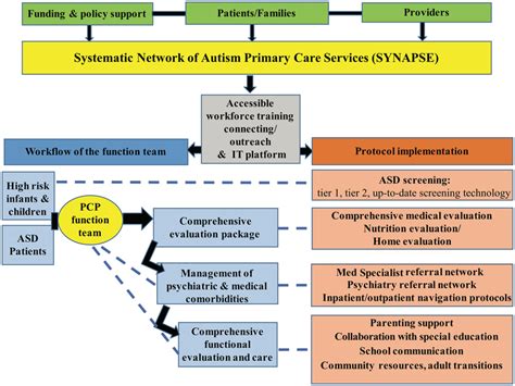 The Foundations Protocols And Workflow Of The Systematic Network Of