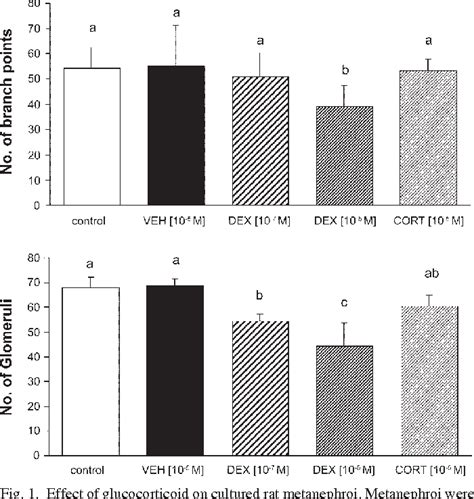 Figure 1 From Developmental Programming Of A Reduced Nephron Endowment