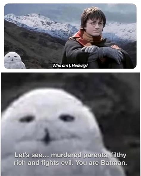 Harry Potter Is Batman Rterriblefandommemes