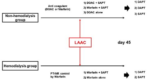 Post Implant Drug Regimen Doac Direct Oral Anticoagulation Sapt Download Scientific Diagram