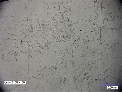 microstructure overview showing the presence of carbide precipitates