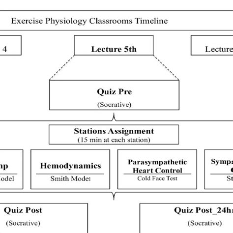 Schematic Representation Of The Experimental Design Download Scientific Diagram