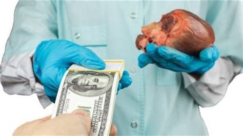 17 يوليو محاكمة مالك معامل الحرمين للإتجار في الأعضاء البشرية
