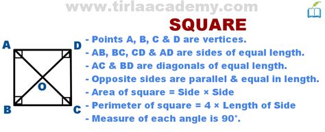 Polygon Shapes Regular And Irregular Polygons Area And Perimeter Of Polygons Tirla Academy