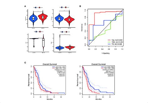 Efficacy Prediction Of Immunotherapy Model Comparison And Survival