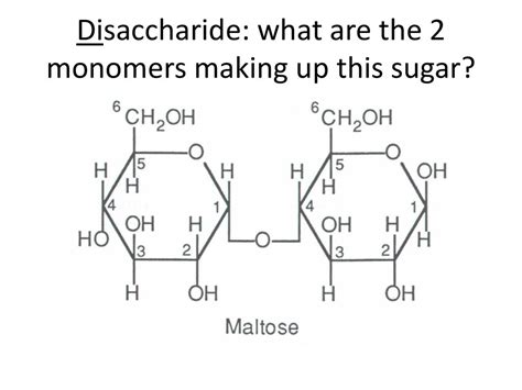 Monosaccharides Disaccharides And Polysaccharides Ppt Download