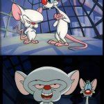 Pinky And The Brain Meme Generator Imgflip